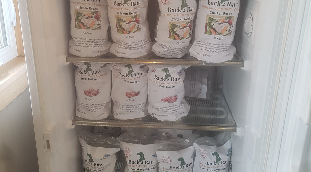 Raw Dog Food – Back2Raw